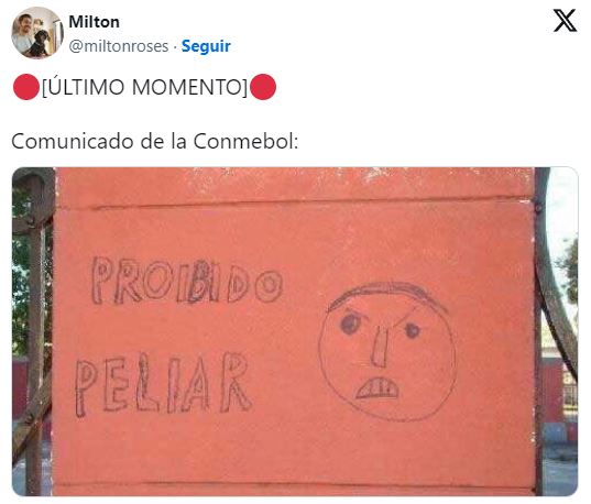 Los mejores memes de la Copa América y controvertida final